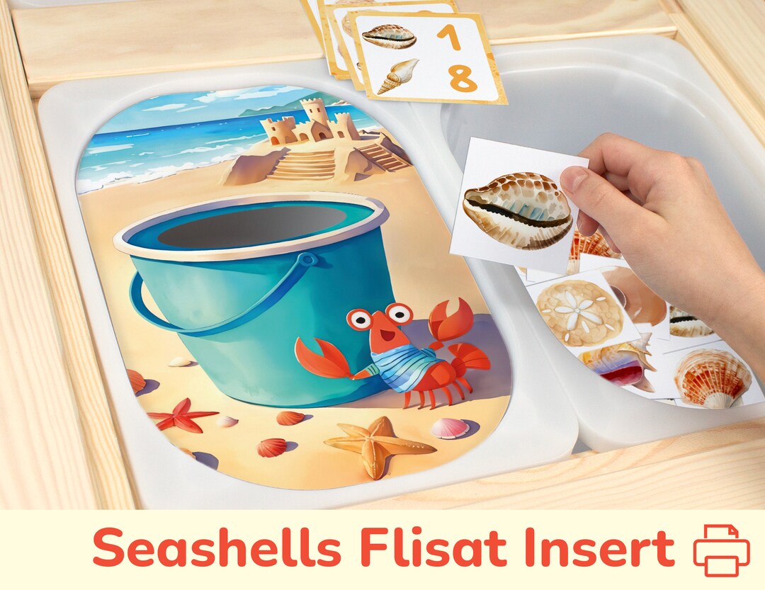Seashells Flisat Insert: Sort and Count to 12 Summer Beach Printable ...