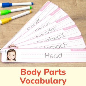 Girl Version Body Parts Tracing Strips: Printable Educational ...