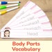 Girl Version Body Parts Tracing Strips: Printable Educational ...