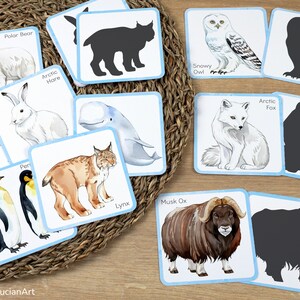 Arctic Animals Shadow Matching Activity: Printable Match Cards for ...