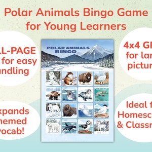 Polar Animals Bingo Game: Printable Preschool, Kindergarten, Toddler ...