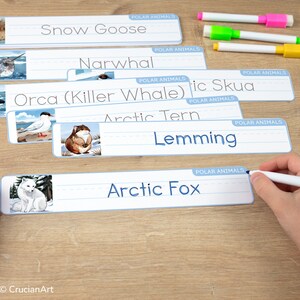 Arctic Animals Handwriting Worksheets: Printable Vocabulary Activity ...