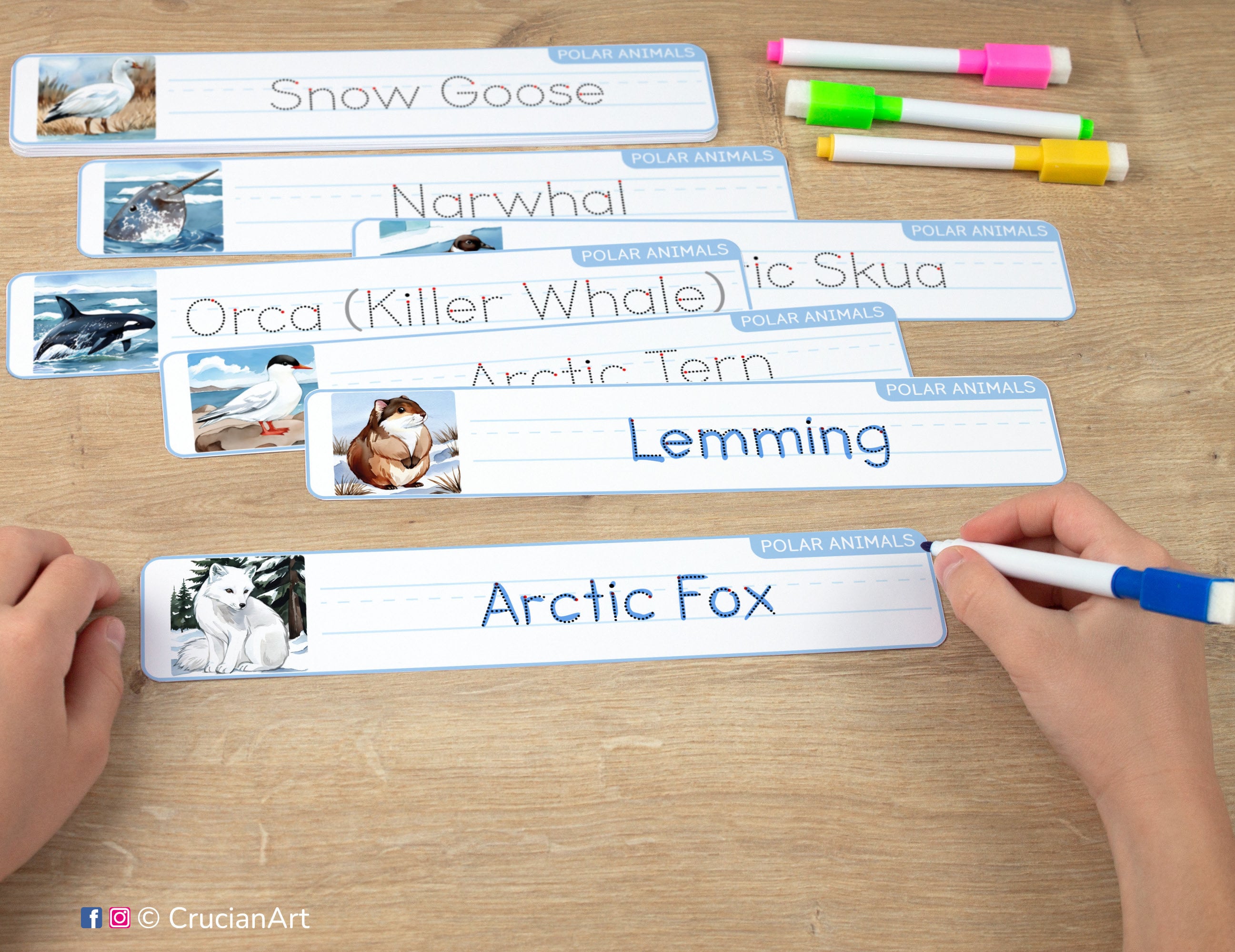 Arctic Animals Handwriting Worksheets: Printable Vocabulary Activity ...