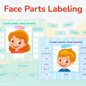 Body and Face Parts Printable Learning Pack for Toddler, Preschool, Pre ...