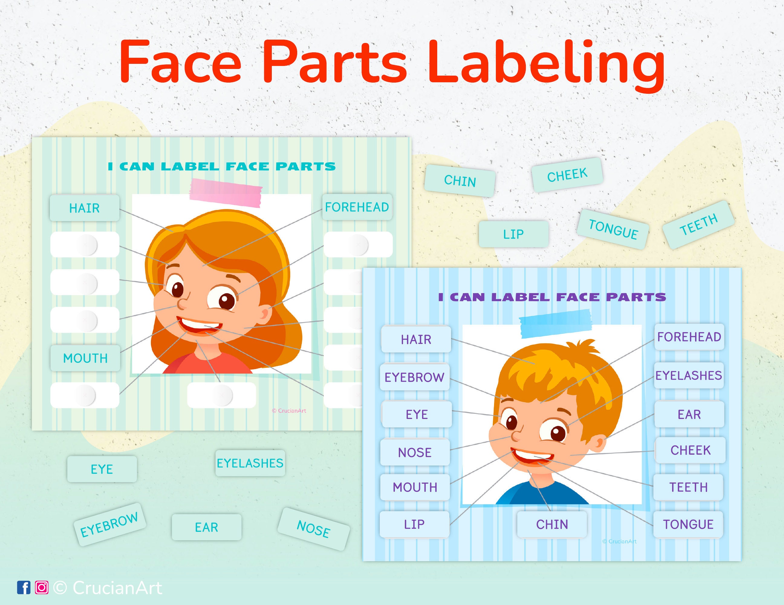 Body and Face Parts Printable Learning Pack for Toddler | Etsy