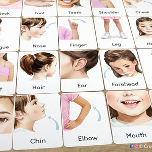 Body Parts 3-part Cards, Girl Version. Body Identification Printable ...