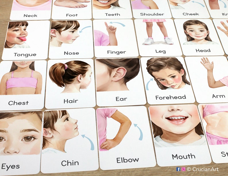 Body Parts 3-part Cards, Girl Version. Body Identification Printable ...