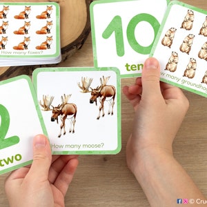 Woodland Animals Counting Activity: Printable Matching Cards. Preschool ...