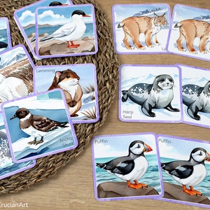 Polar Animals Memory Game: Printable Toddler Preschool Kindergarten ...