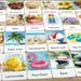 Summer Words 3-part Cards. Printable Learning Flashcards - Etsy