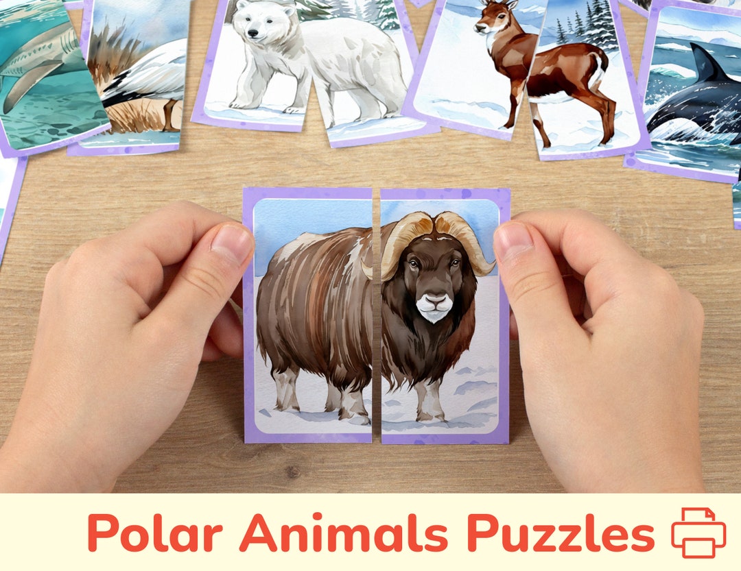 Polar Animals Puzzle Pairs: Printable Match Cards for Toddlers ...