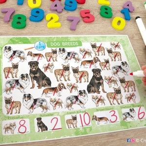Dog Breeds I Spy Counting Activity. Preschool Learning Worksheets ...