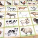 Farm Animals Puzzle Pairs: Toddler Learning Activity. Match - Etsy