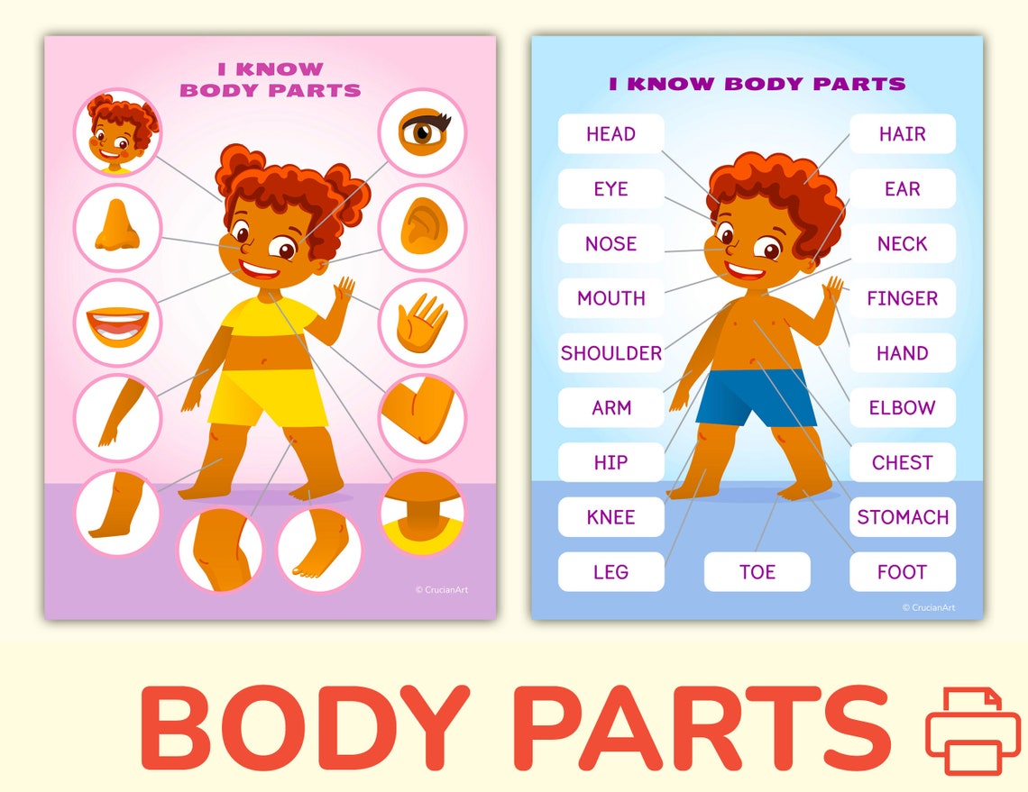 African American Body Parts and Face Parts Printable Activity. Human ...