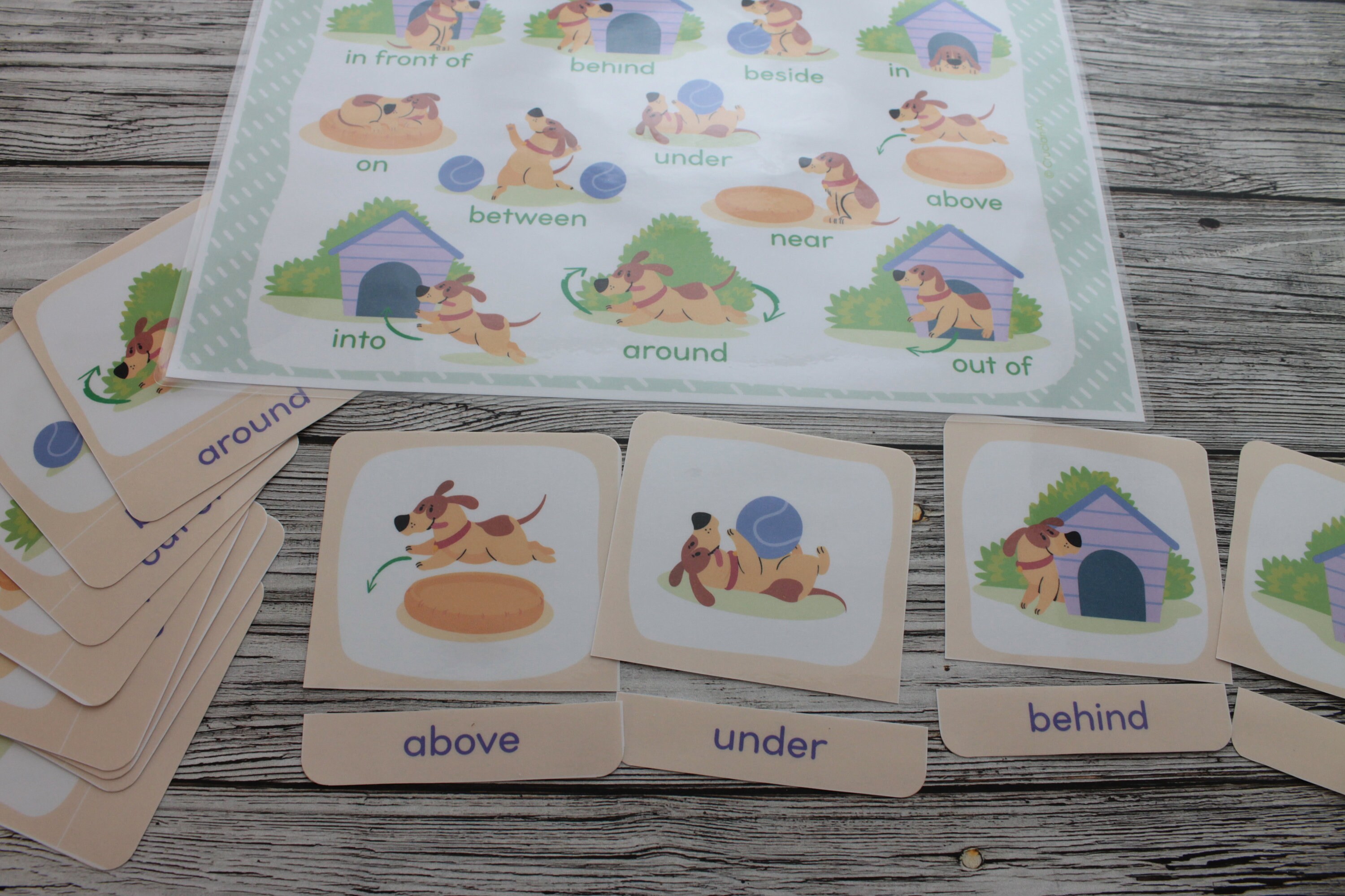 Positional Words Printable Cards. Prepositional Words Parts | Etsy