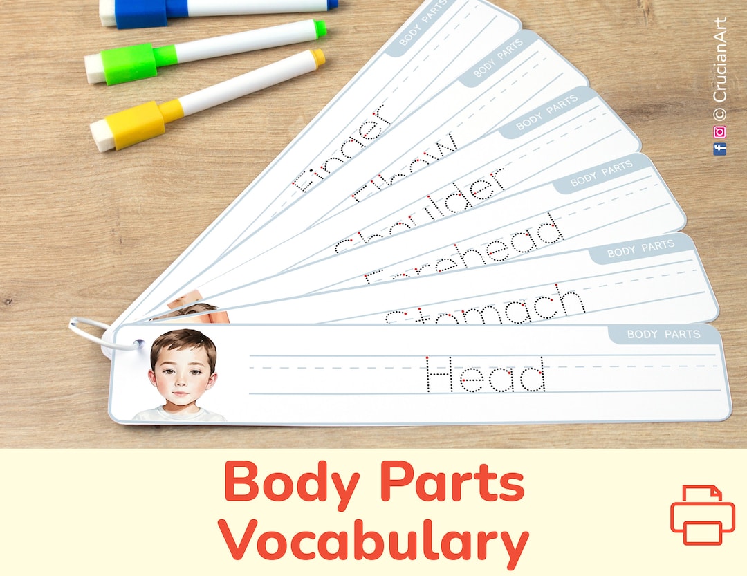 Boy Version Body Parts Tracing Strips: Printable Educational Activities ...