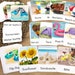 Summer Words 3-part Cards. Printable Learning Flashcards - Etsy