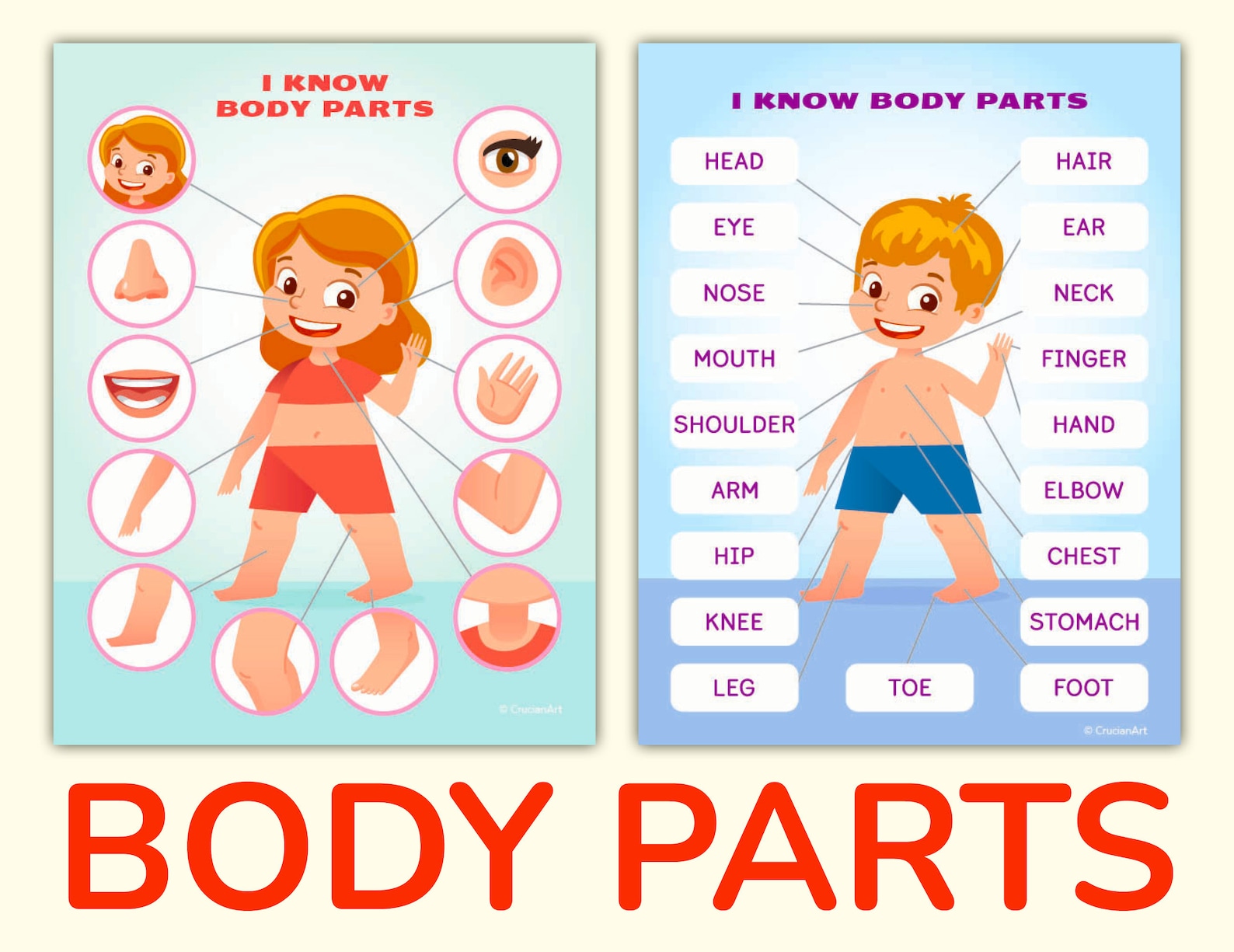 Body and Face Parts Printable Learning Pack for Toddler - Etsy