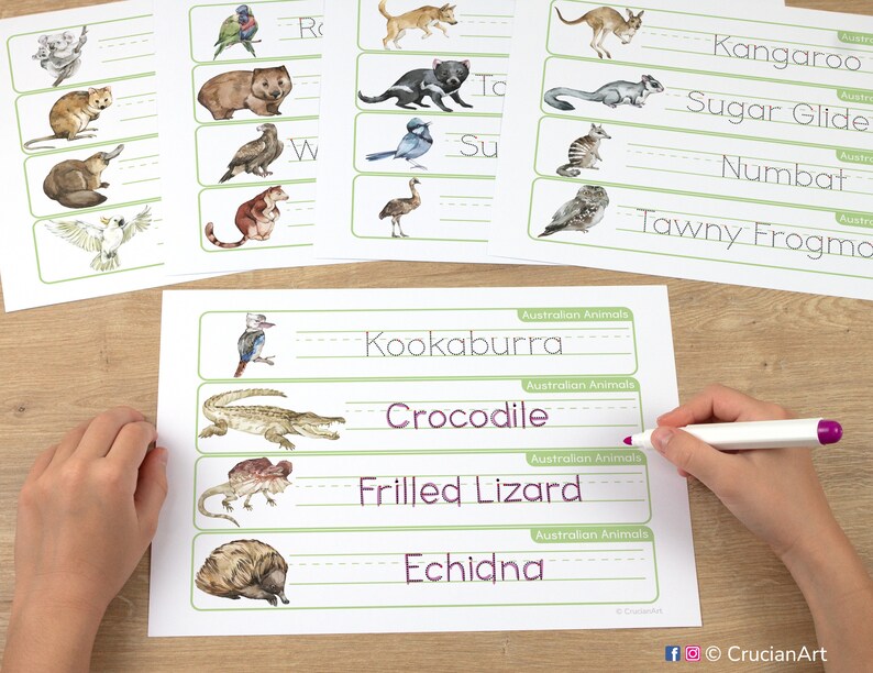 Australian Animals Tracing Strips: Printable Educational Activities ...