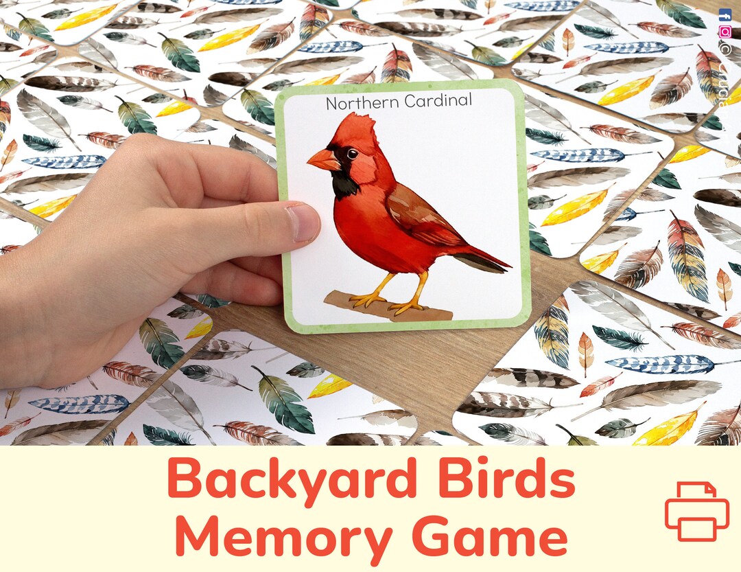 North American Backyard Birds Memory Game: Printable Matching Activity ...