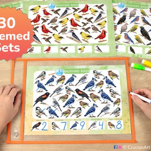 Bundle of I Spy Counting Worksheets: Printable Count-to-10 Activities ...