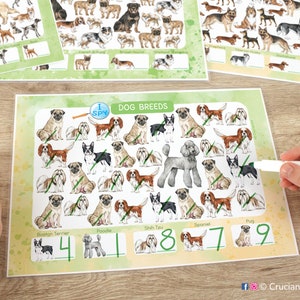 Dog Breeds I Spy Counting Activity. Preschool Learning Worksheets ...