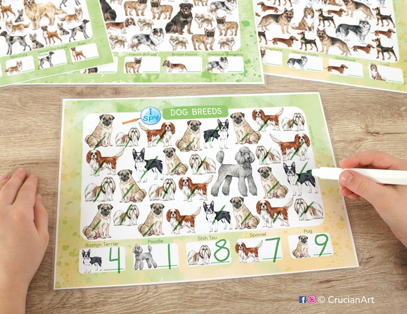 Dog Breeds I Spy Counting Activity. Preschool Learning Worksheets ...