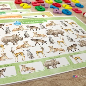 African Savanna Animals I Spy Counting Worksheets. Safari Grassland ...