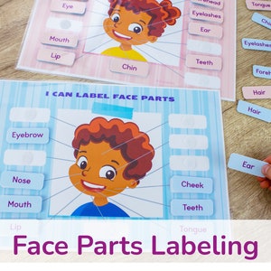 African American Body Parts and Face Parts Printable Activity. Human ...