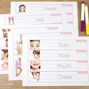 Girl Version Body Parts Tracing Strips: Printable Educational ...