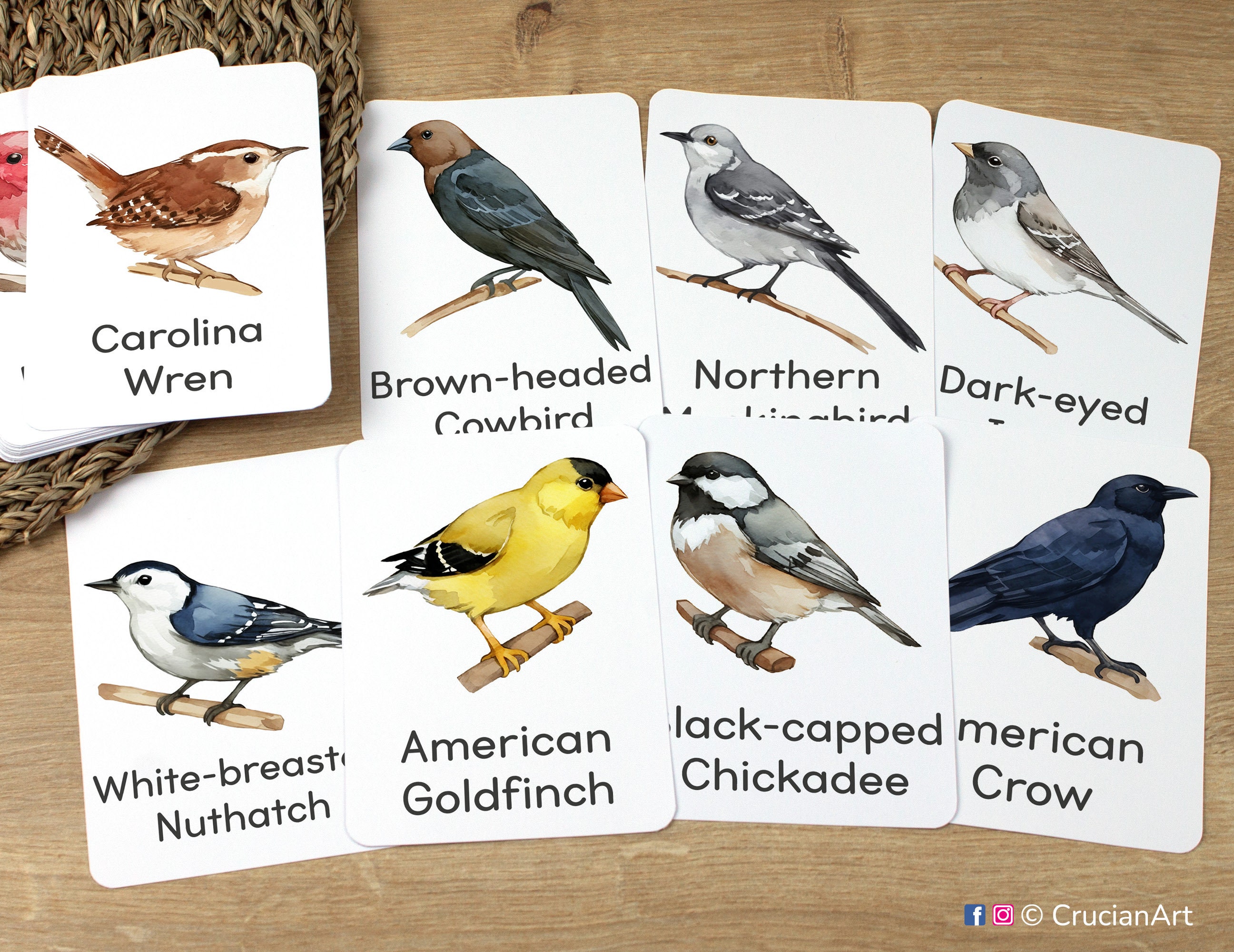North American Backyard Birds Flash Cards. Printable Learning Materials ...