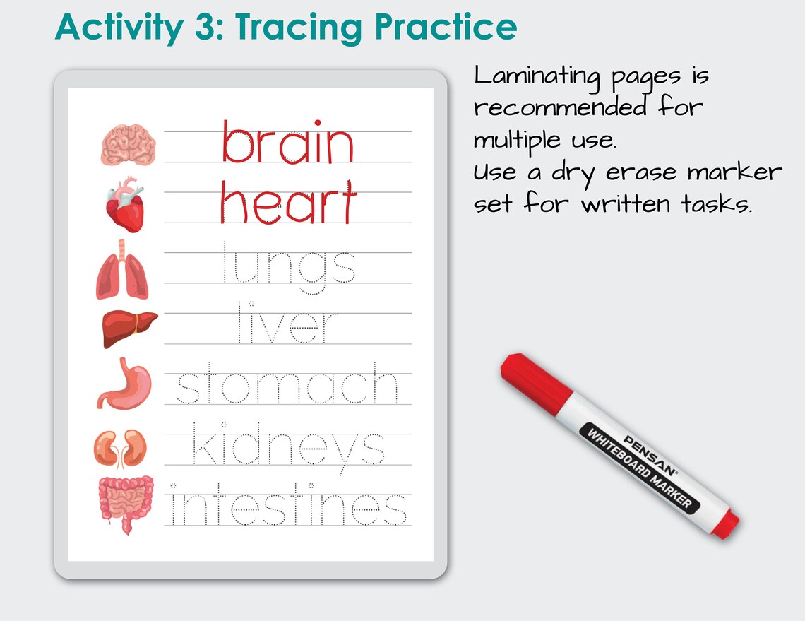 Human Anatomy Printable. Homeschool Preschool Curriculum. My | Etsy