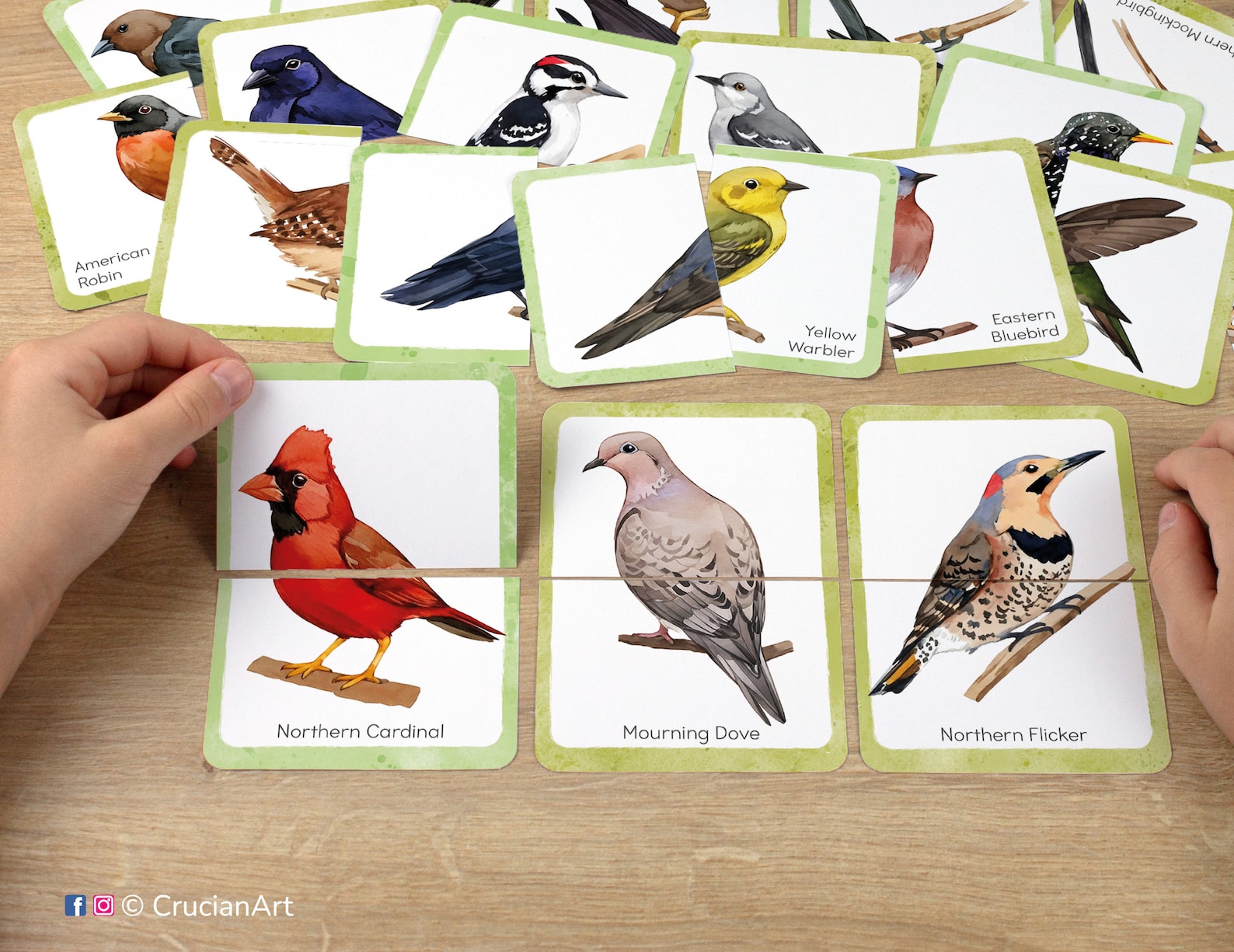 North American Backyard Birds Puzzle Pairs: Toddler Learning Activity ...