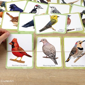North American Backyard Birds Puzzle Pairs: Toddler Learning Activity ...