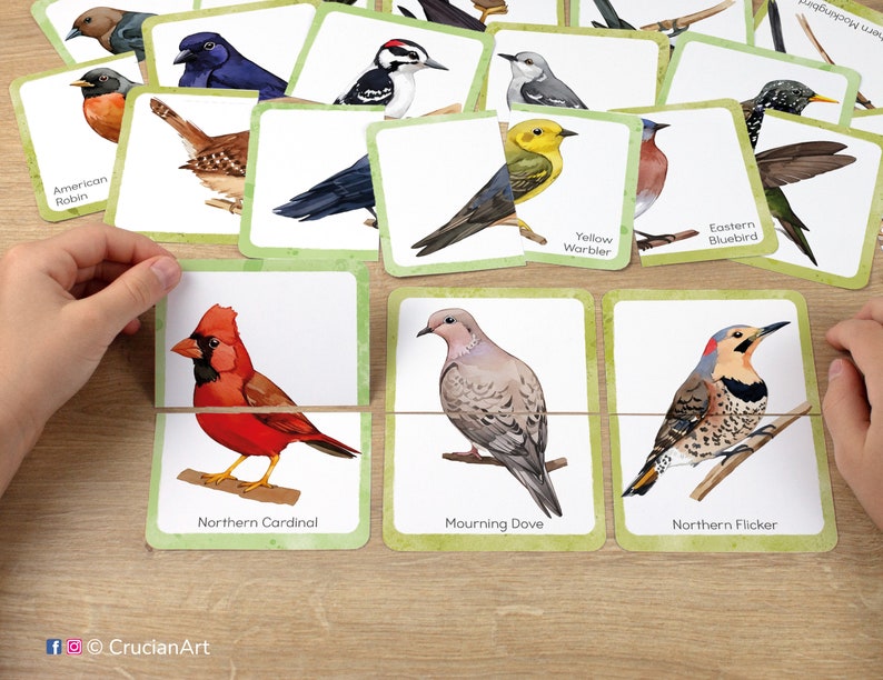 North American Backyard Birds Puzzle Pairs: Toddler Learning Activity ...