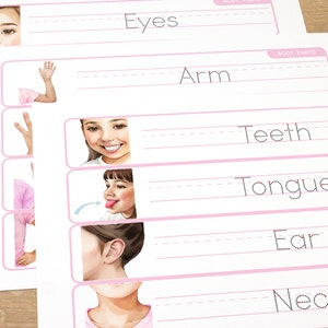 Girl Version Body Parts Tracing Strips: Printable Educational ...