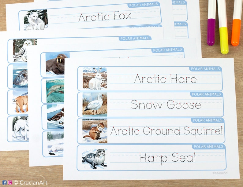 Arctic Animals Handwriting Worksheets: Printable Vocabulary Activity ...