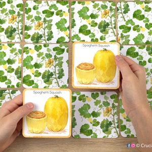 Pumpkin & Squash Memory Game: Printable Matching Activity. Autumn ...
