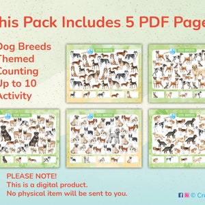 Dog Breeds I Spy Counting Activity. Preschool Learning Worksheets ...