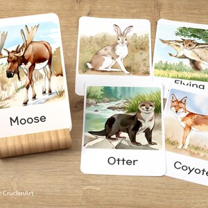 Woodland Animals Flashcards: Toddler Preschool Kindergarten Printable ...