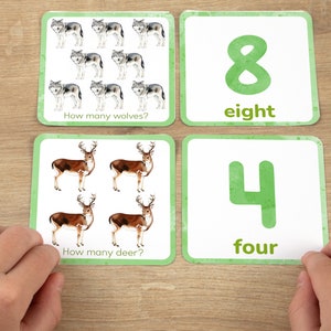 Woodland Animals Counting Activity: Printable Matching Cards. Preschool ...