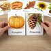 Fall Themed Flashcards for Seasonal Vocabulary Boosts. - Etsy