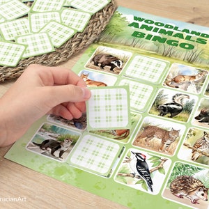 Woodland Animals Bingo Game: Printable Preschool, Kindergarten, Toddler ...