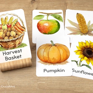 Fall Themed Flashcards for Seasonal Vocabulary Boosts. Toddler ...