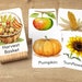 Fall Themed Flashcards for Seasonal Vocabulary Boosts. - Etsy