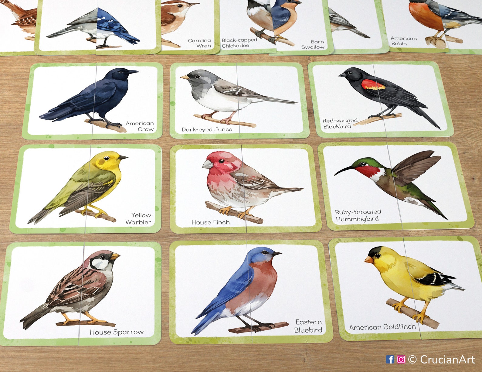 North American Backyard Birds Puzzle Pairs: Toddler Learning Activity ...