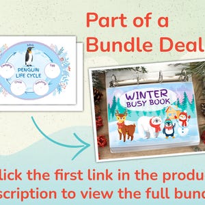 Life Cycle of a Penguin: Printable Learning Activity, Educational ...