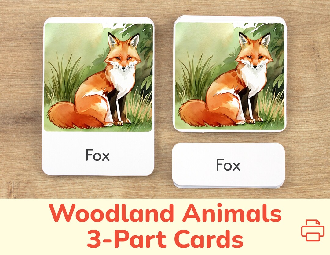 Woodland Animals Three-part Cards: Visual Cards and Words Matching ...