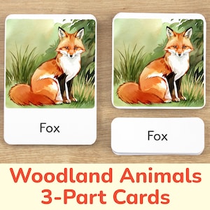 Woodland Animals Three-part Cards: Visual Cards and Words Matching ...