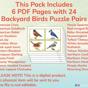 North American Backyard Birds Puzzle Pairs: Toddler Learning Activity ...